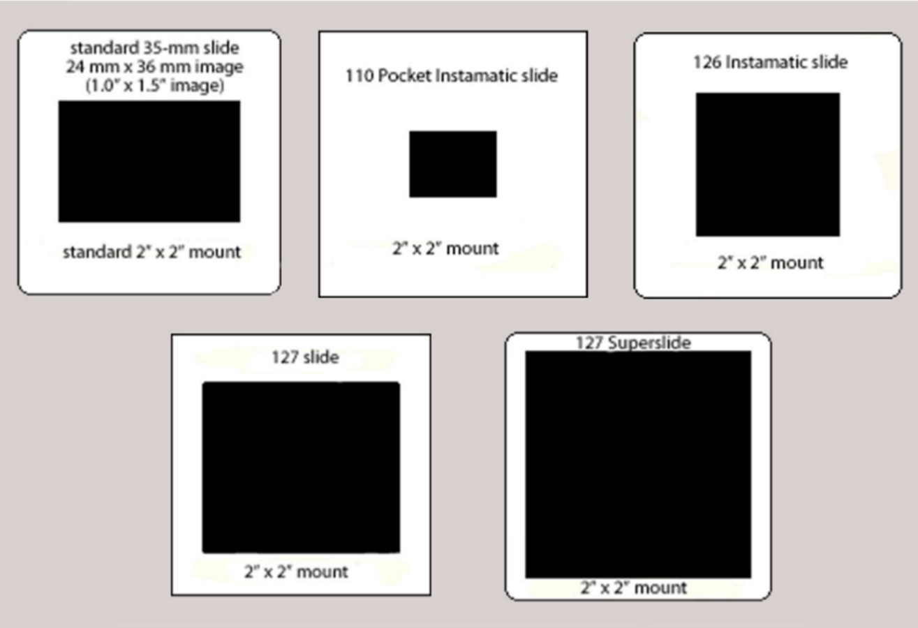 What types of slides can be digitized? – Forever Help Center